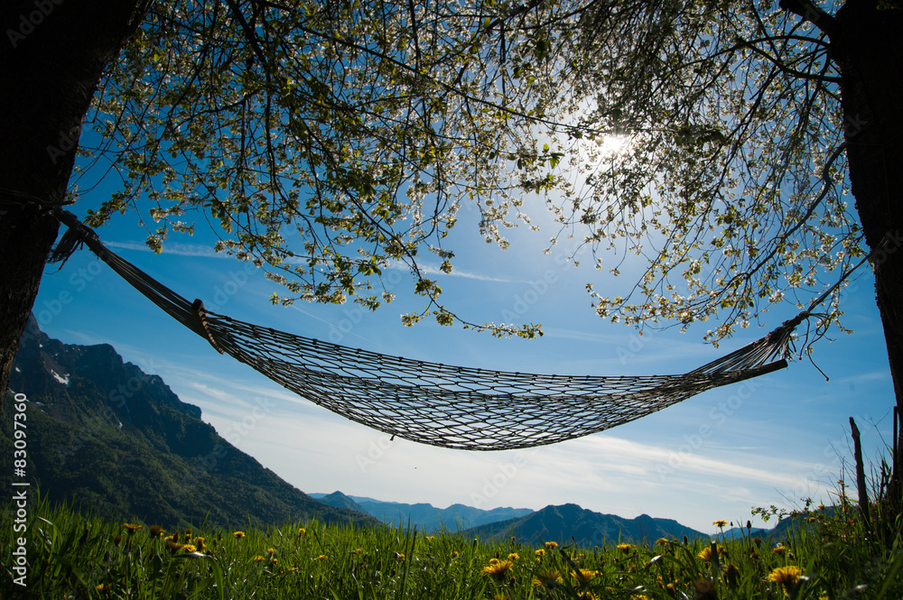 amaca Stock Photo | Adobe Stock