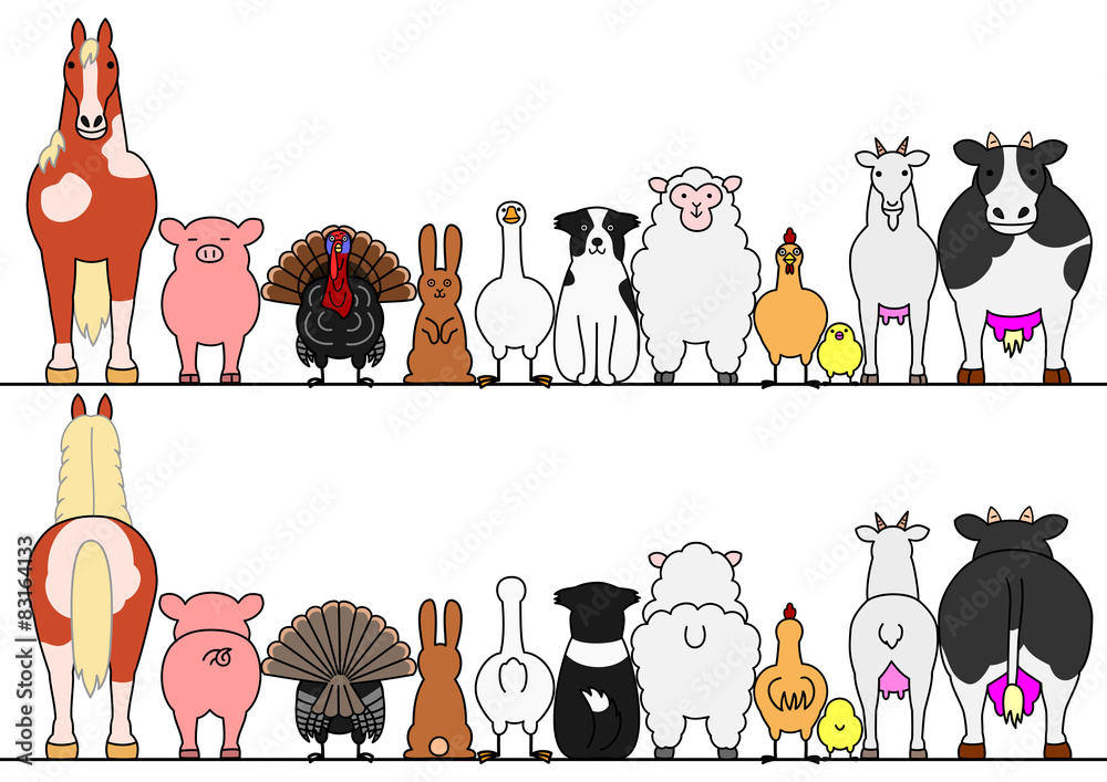 farm animals in a row, front and back Stock Vector | Adobe Stock