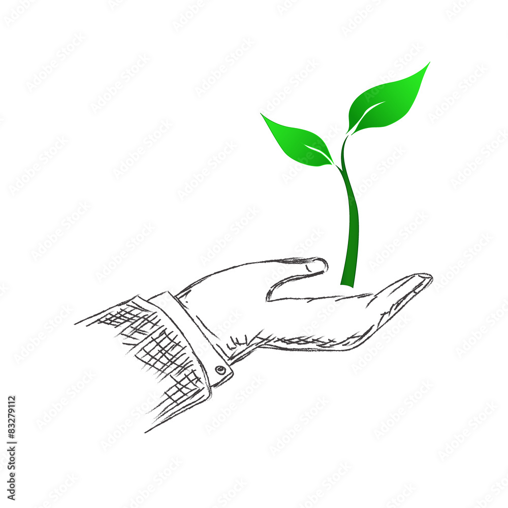 green, plant, growing, hand, sketch, vector, illustration Stock Vector ...