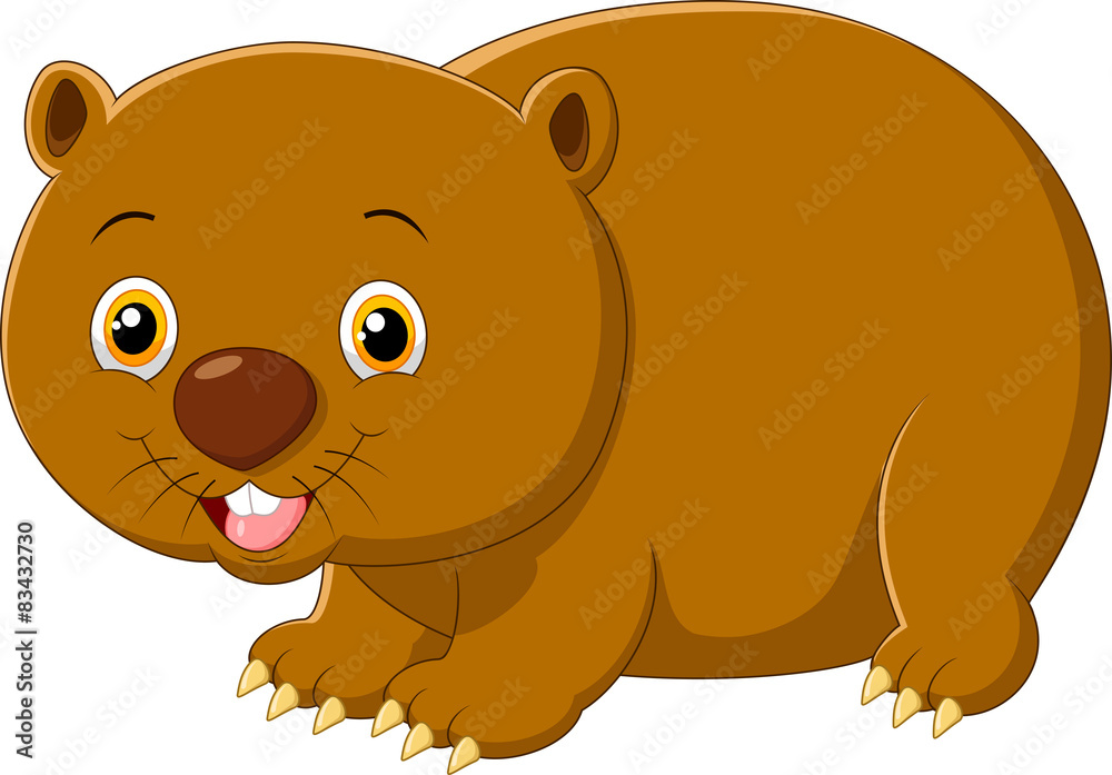 Cartoon wombat Stock Vector | Adobe Stock