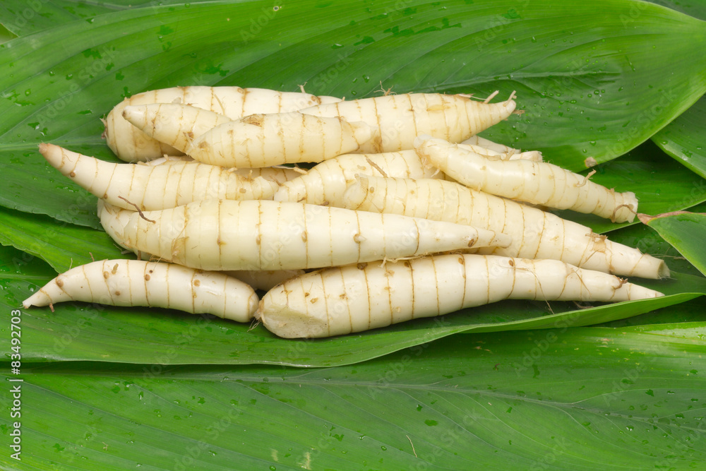 arrow-root Stock Photo | Adobe Stock