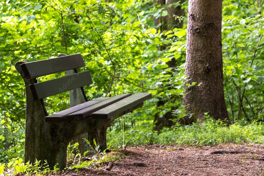 Entspannung auf Bank im Wald Stock Photo | Adobe Stock
