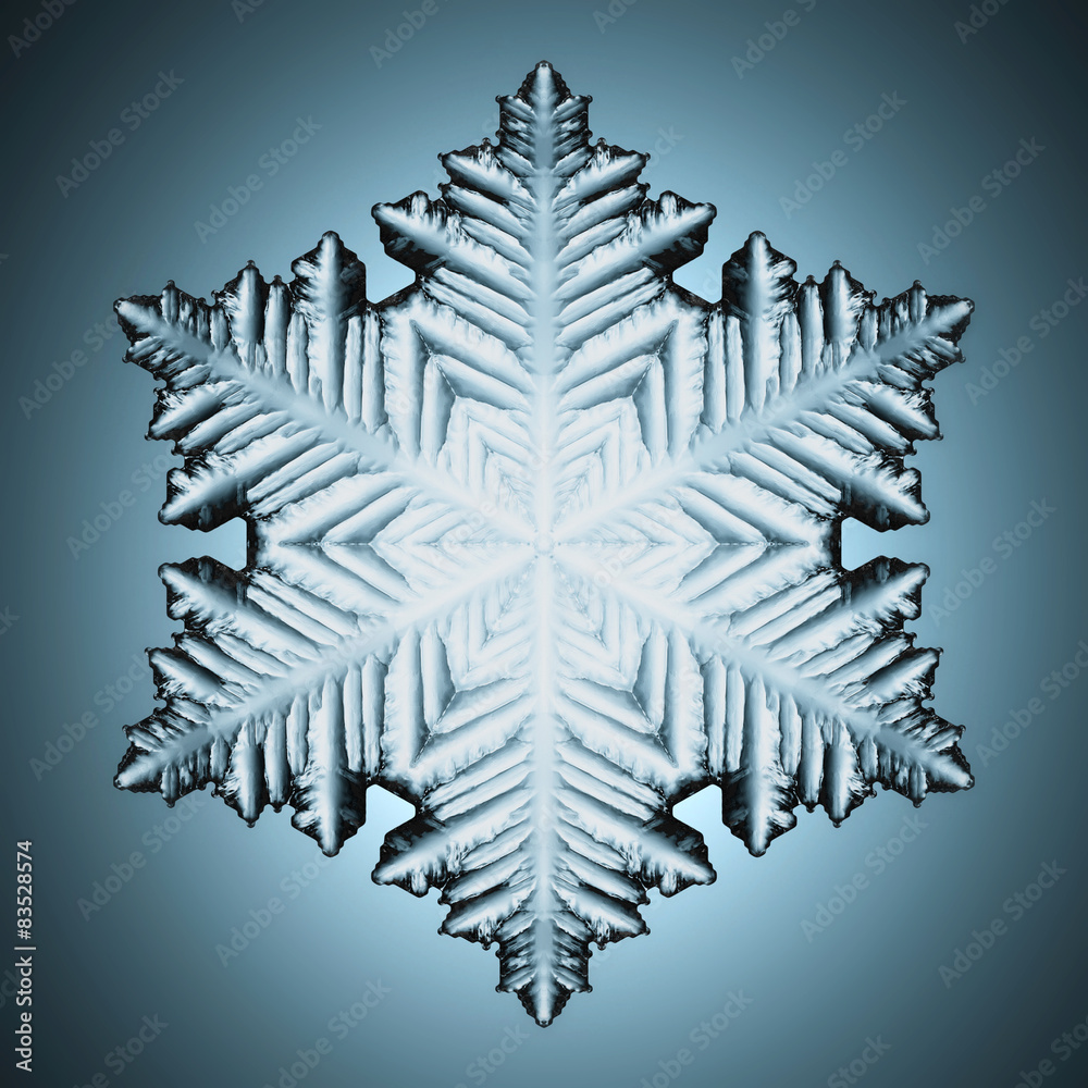 Perfect Snowflake