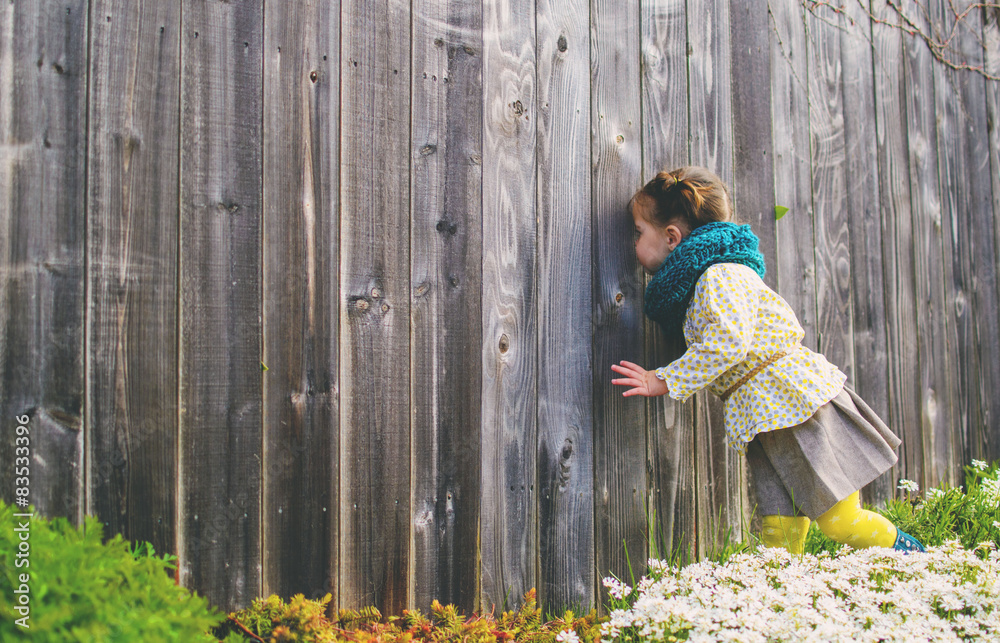 Little girl looking through wooden fence Stock Photo | Adobe Stock