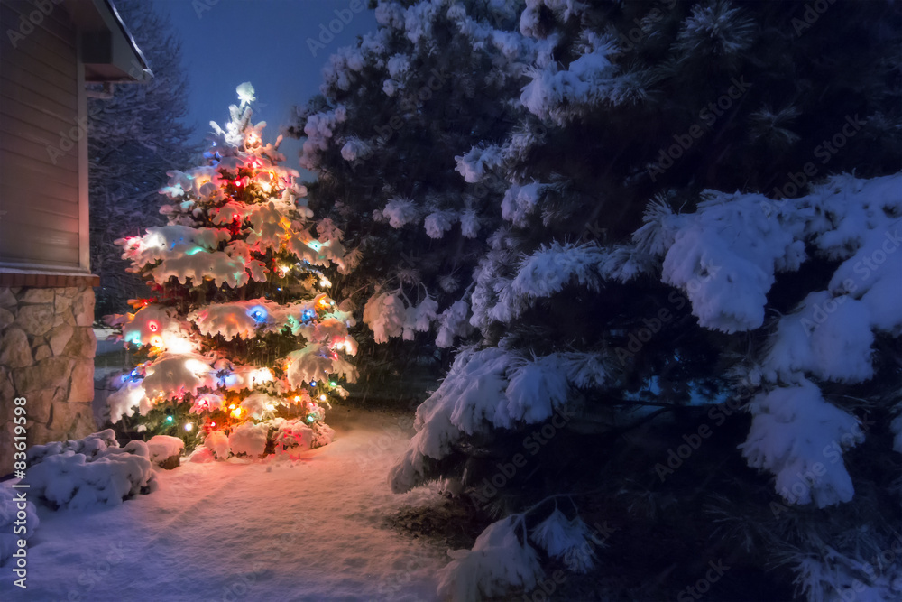 Heavy snow falls quietly on this magical Christmas Tree scene. Stock ...