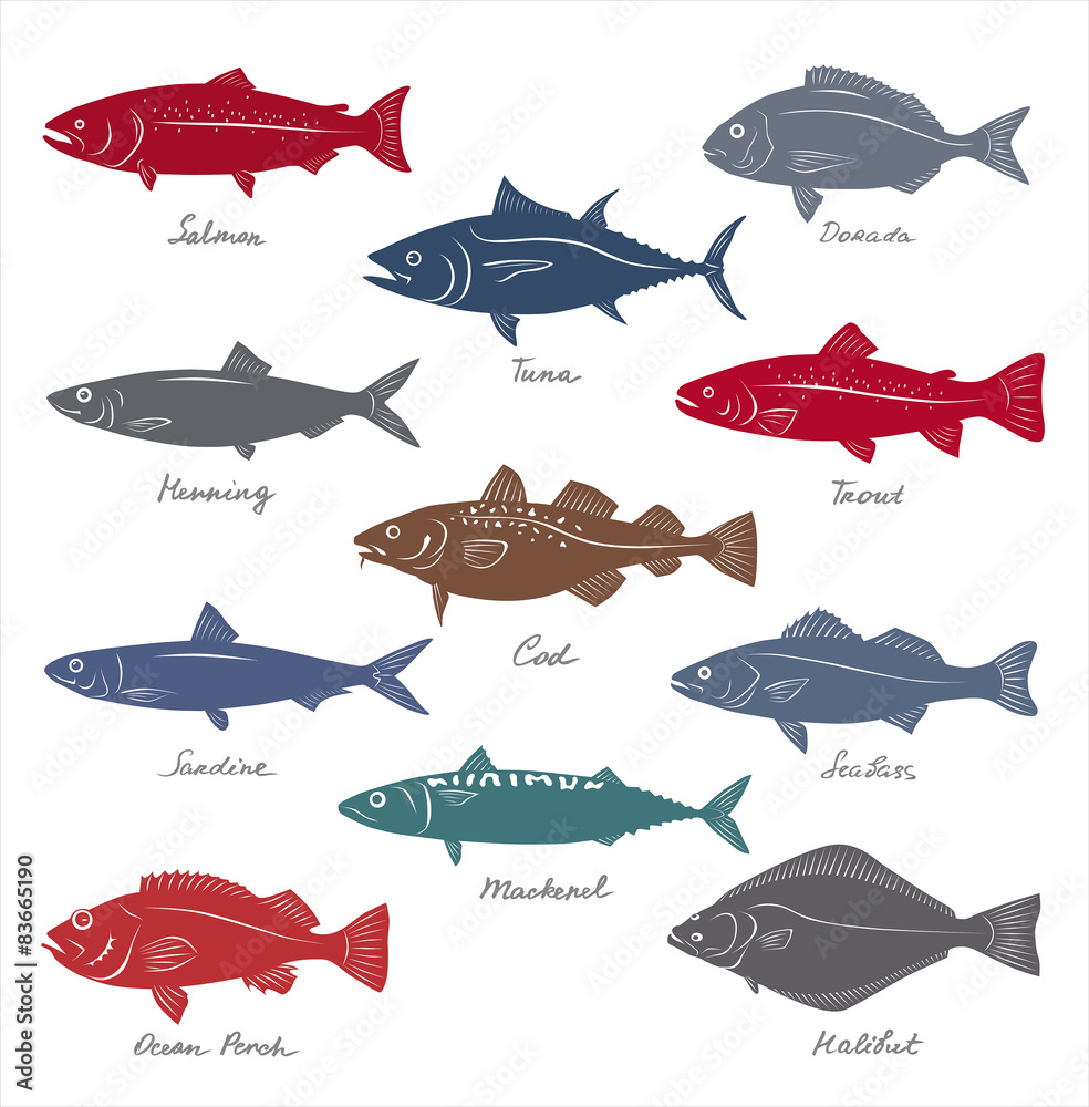 Big collection of marketable fish symbols. Vector set. Stock Vector ...
