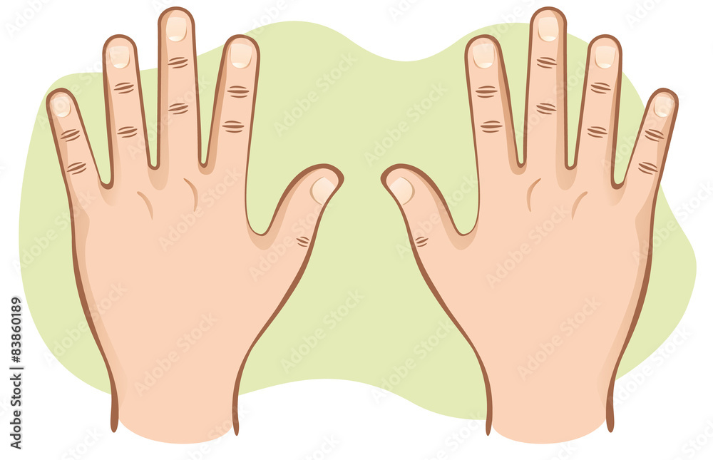 Body, pair of hands open top view Stock Vector | Adobe Stock