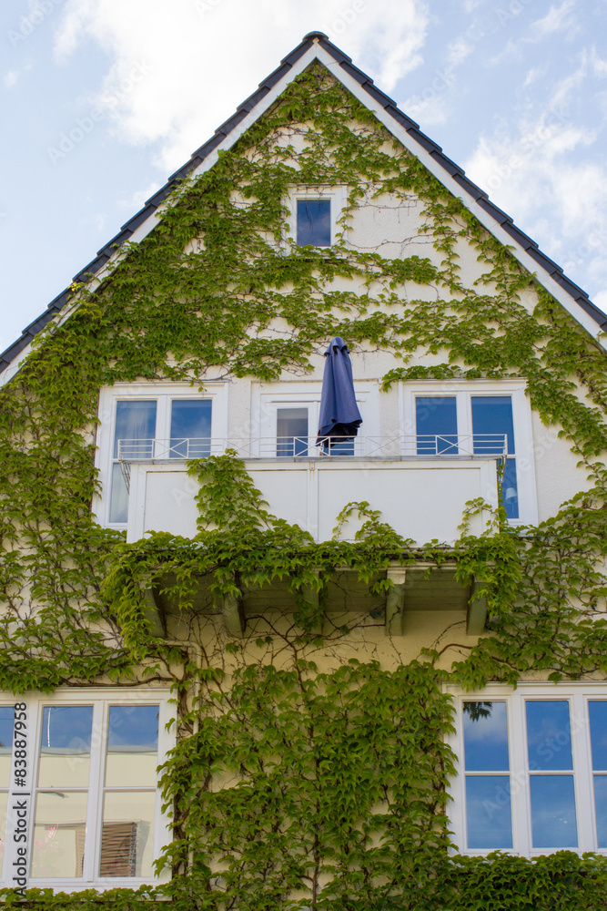 Einfamilienhaus bewachsen mit Efeu Stock-Foto | Adobe Stock