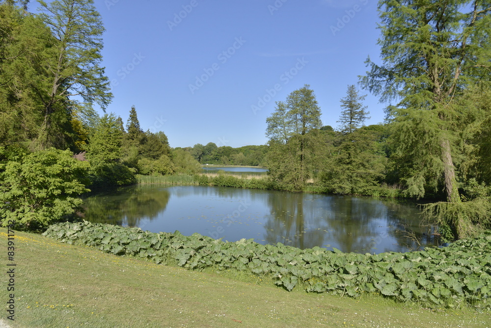 Le petit étang du parc Solvay sous un ciel serein Stock Photo | Adobe Stock