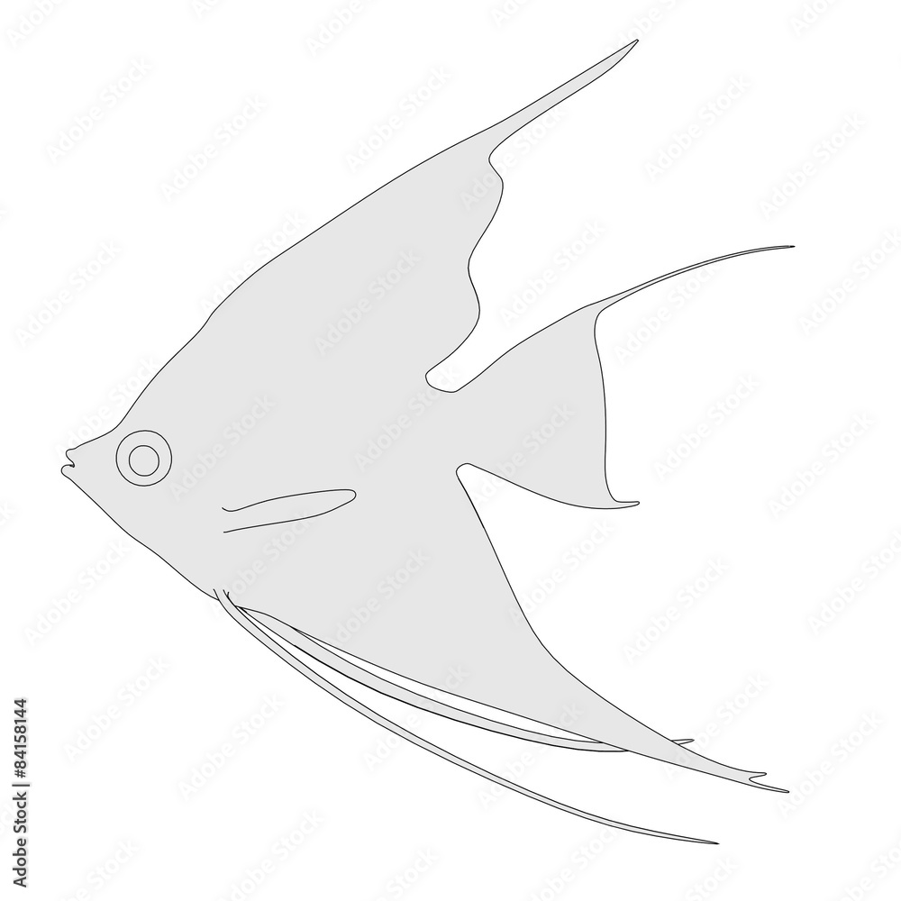 2d cartoon image of pterophyllum altum Stock Illustration | Adobe Stock