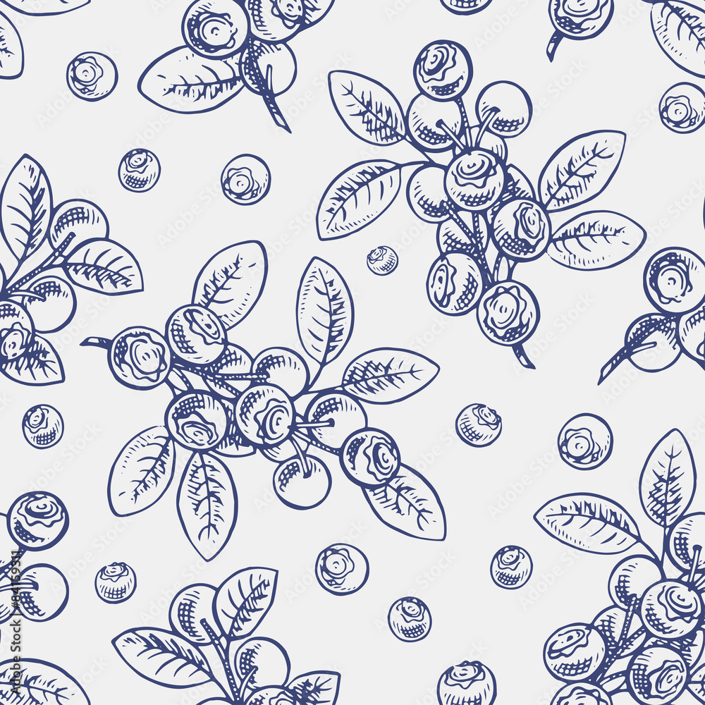 seamless sketch blueberry Stock Vector | Adobe Stock