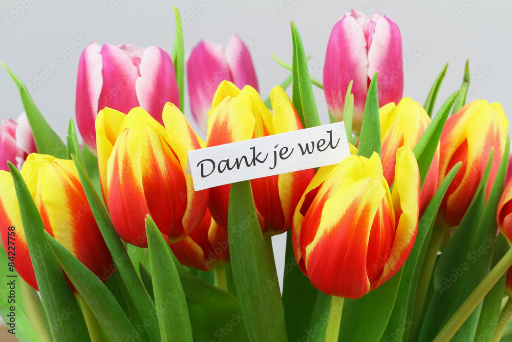 Stockfoto Dank je wel (thank you in Dutch) card with colorful tulips ...
