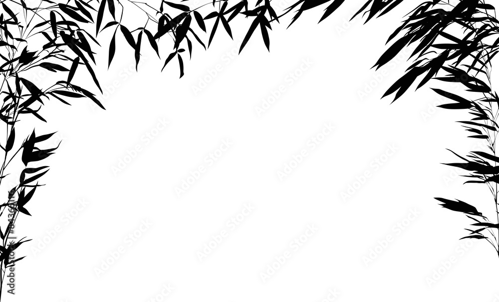 bamboo half frame silhouette isolated on white Stock Vector | Adobe Stock