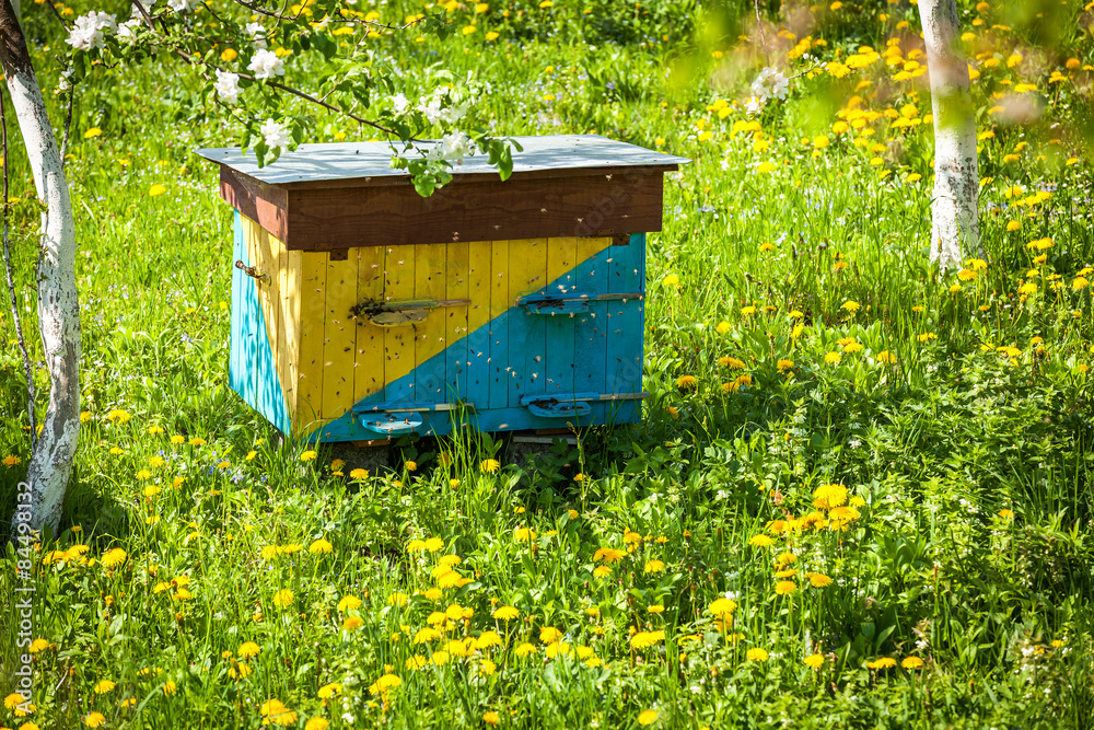 bee, farm, honey, apiary, beekeeping, hive, meadow, house, summer ...