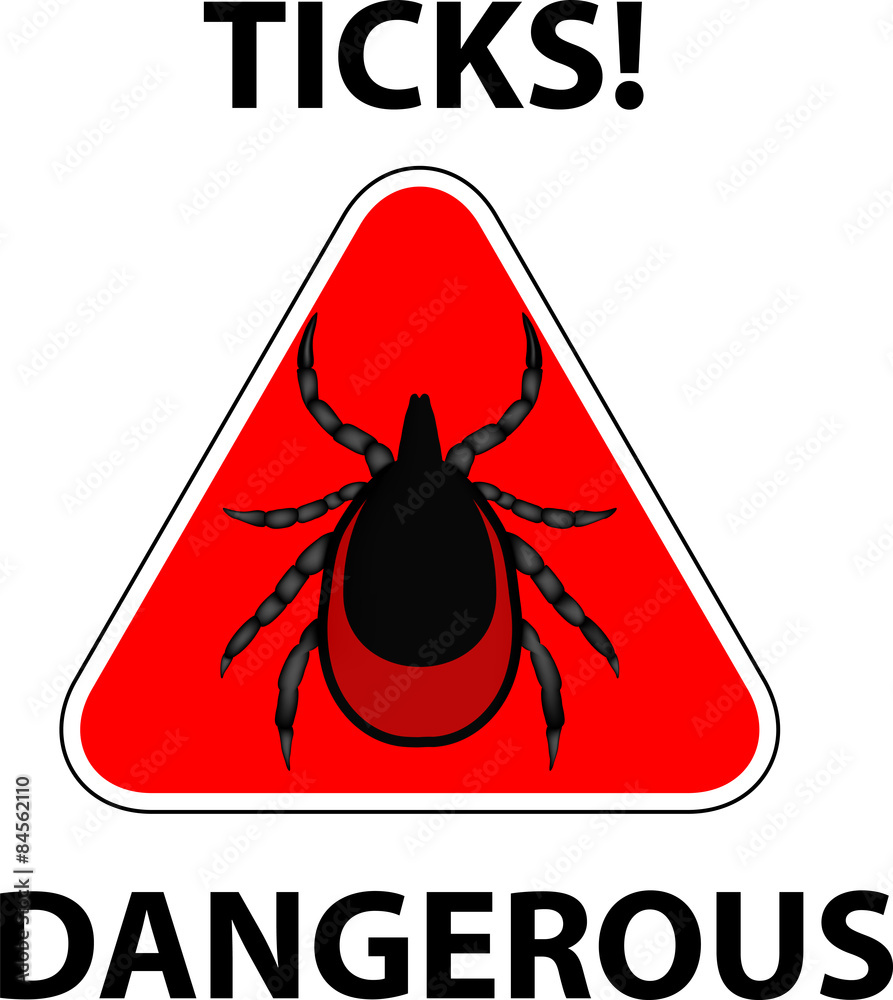 vector image of a tick stop sign Stock Vector | Adobe Stock