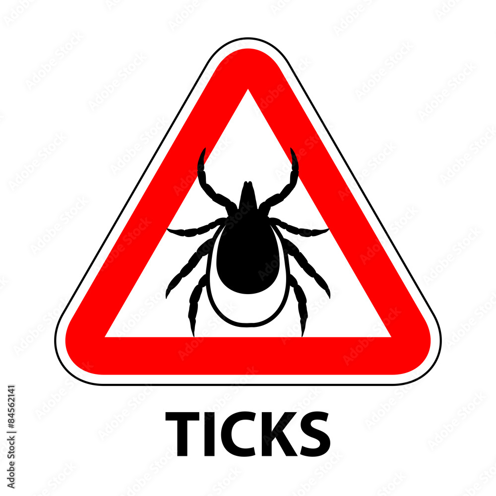 vector image of a tick in a red triangle - tick stop sign Stock Vector ...