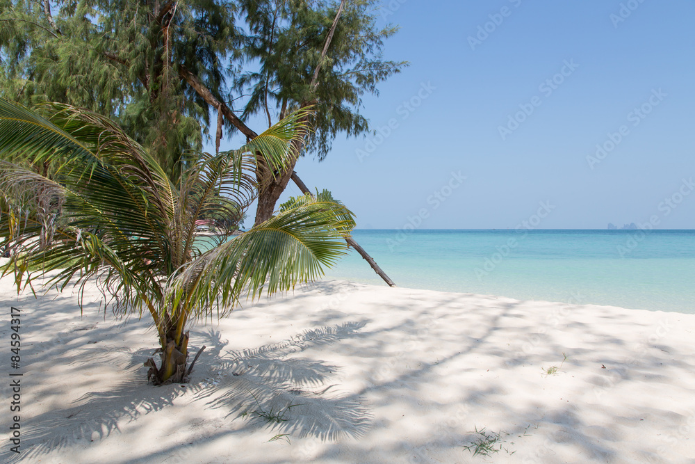 Ko Bulon Le, Thailand, traumstrand, Strand einsame Insel, Wasser Stock ...