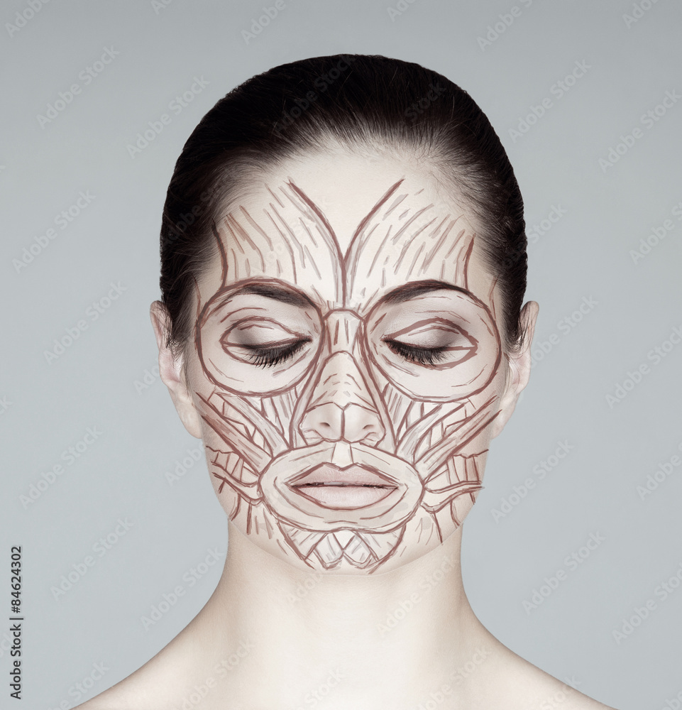 Face muscles of a woman. Anatomy view. Stock Photo | Adobe Stock