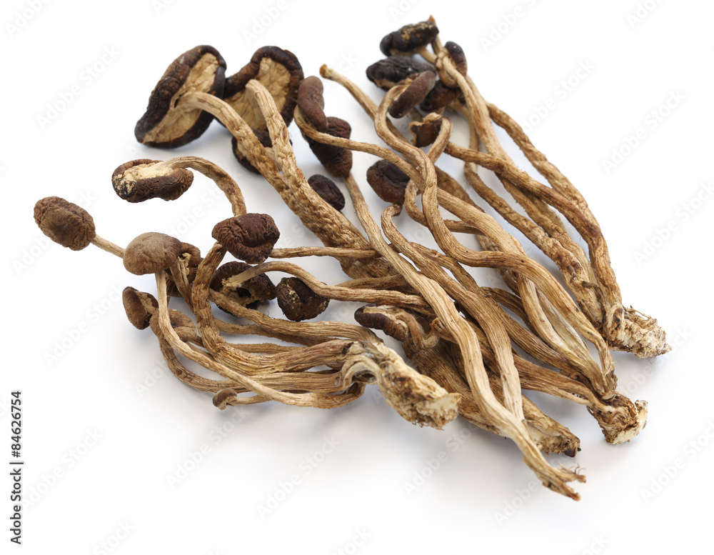 dried willow tea tree mushrooms isolated on white background Stock ...