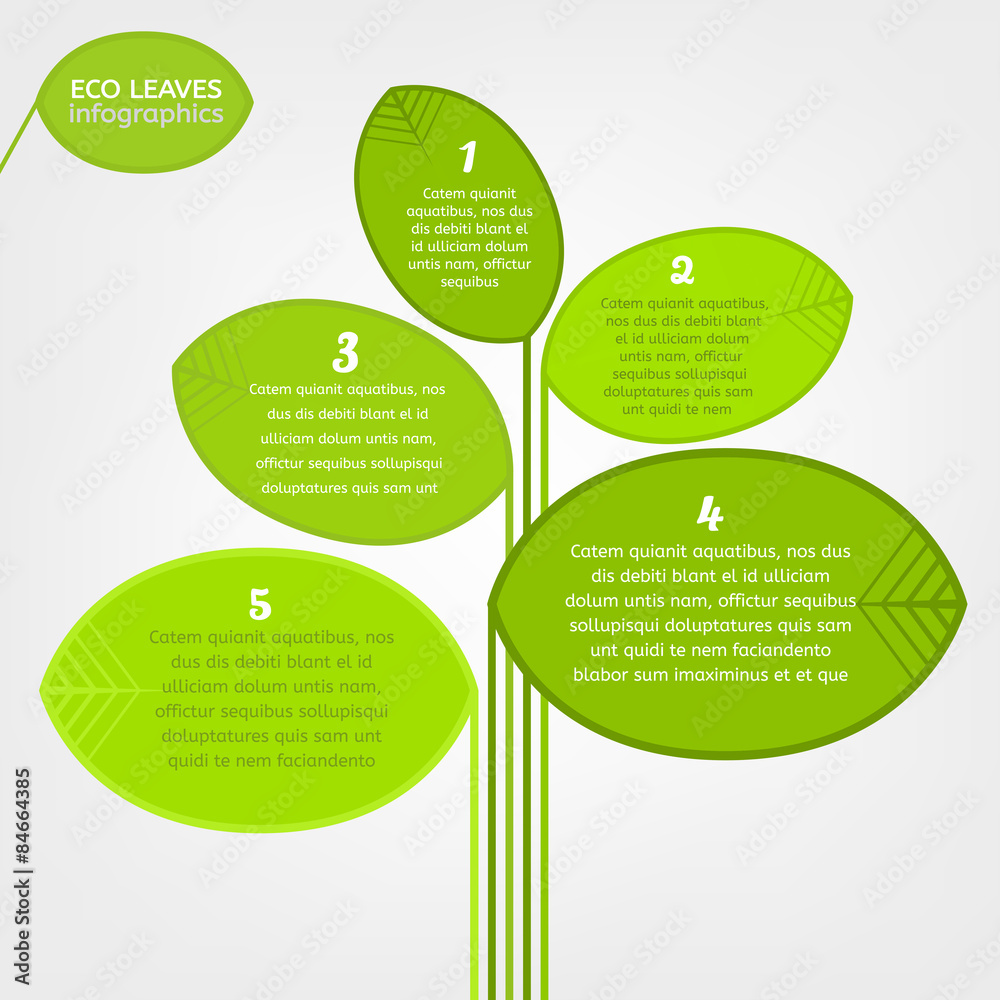 Leaves infographic Stock Vector | Adobe Stock