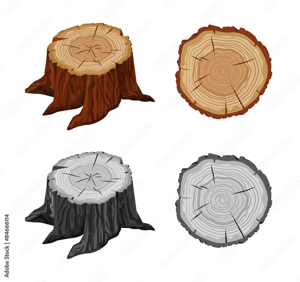 Tree Stump Vector