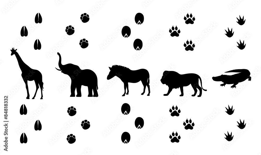 Animal Tracks Clipart