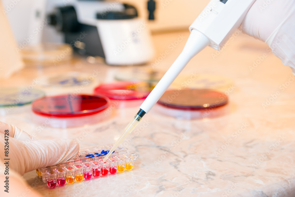 Laboratory doctor or scientific researcher using a pipette to take ...