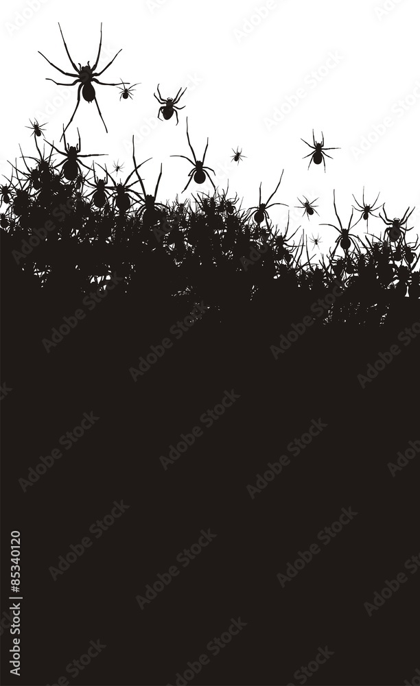 Spiders background Stock Vector | Adobe Stock