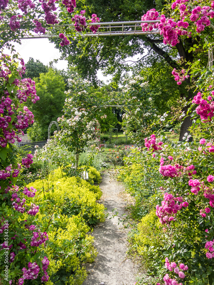 Rosengarten Stock-Foto | Adobe Stock