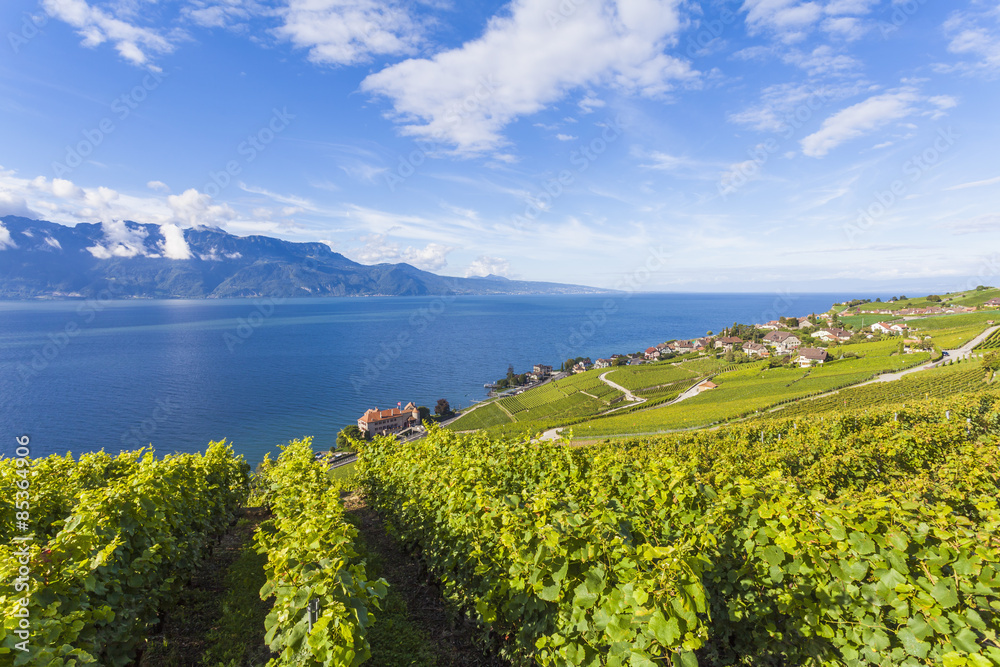 Switzerland, Lavaux, Lake Geneva, wine-growing area Rivaz Stock-Foto ...