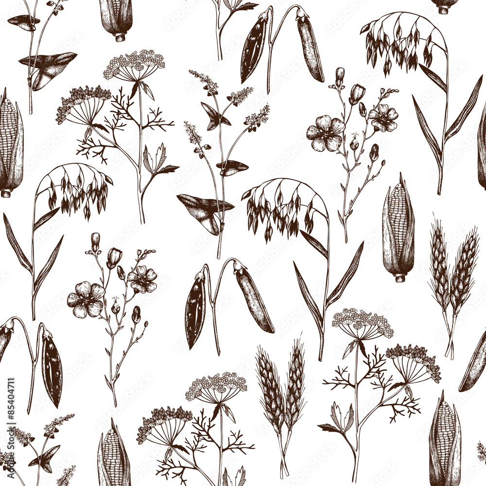 Vector seamless pattern with ink hand drawn agriculture plants sketch ...