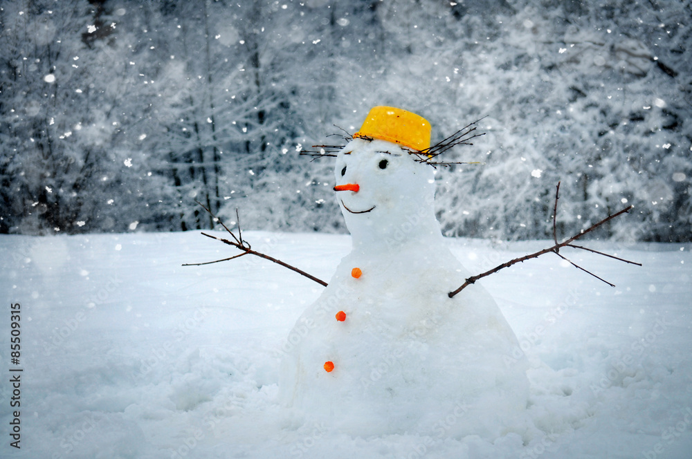 Schneemann Stock-Foto | Adobe Stock