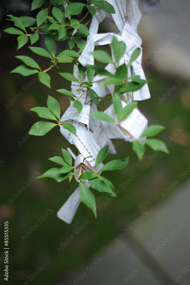 Foto de Paper Messages On A Tree At Nezu Shrine, Tokyo, Japan do Stock ...