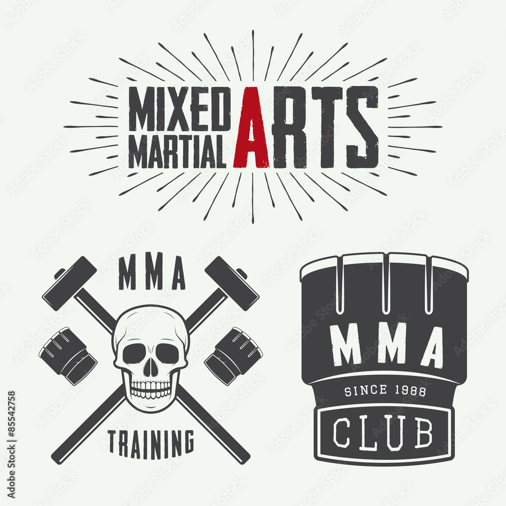 Set of vintage mixed martial arts logo, badges and emblems. Vector ...