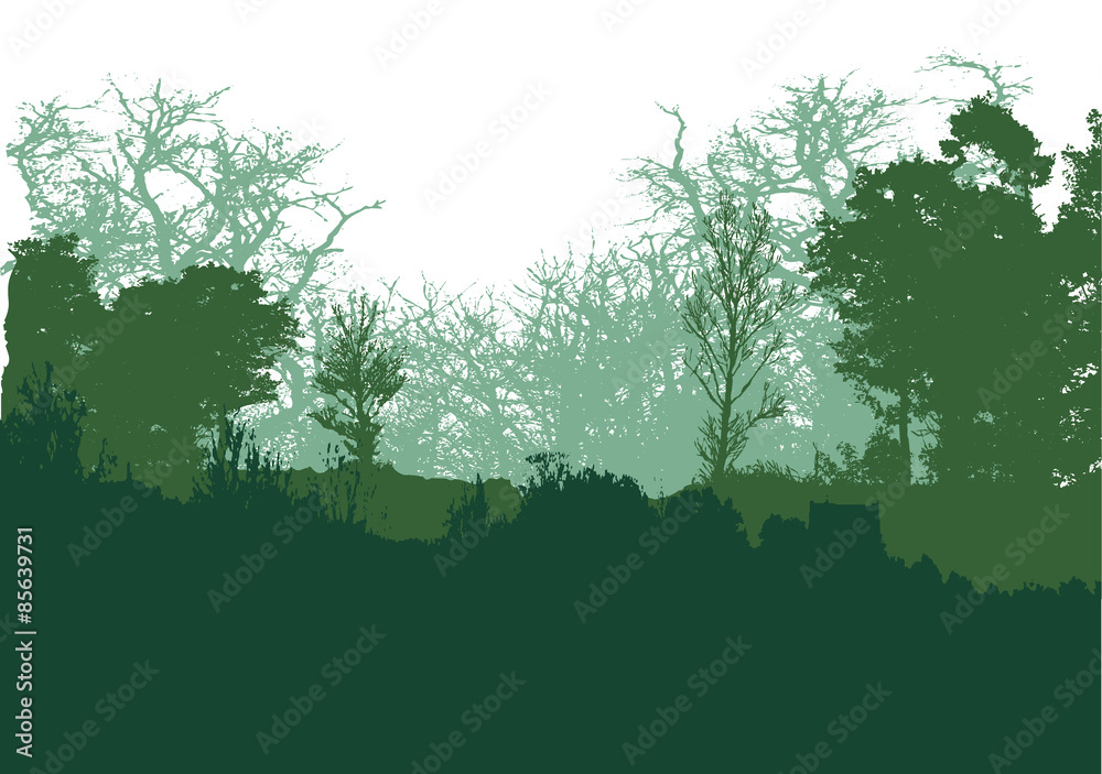 Wild forest panoramic landscape with trees, grass and plants Stock ...