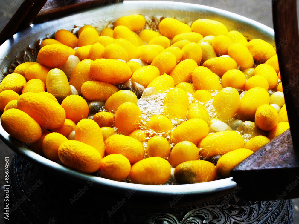 Yellow cocoons Stock Photo | Adobe Stock