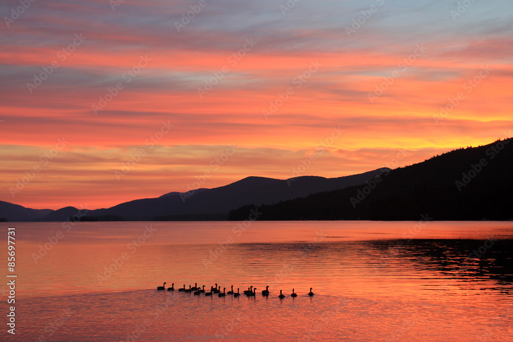 Foto de A family of ducks swims toward sunrise on Lake George, NY in ...