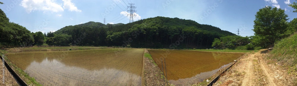 Japanese rural scenery - Panoramic Stock Photo | Adobe Stock
