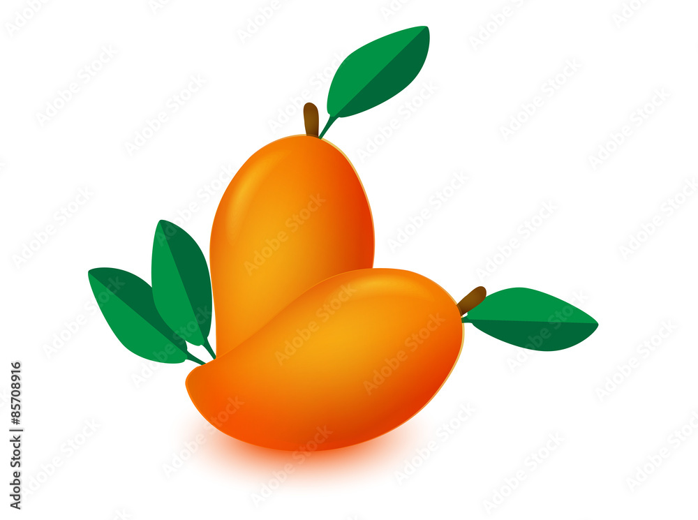 mango isolated, mango vector, mango Stock Vector | Adobe Stock