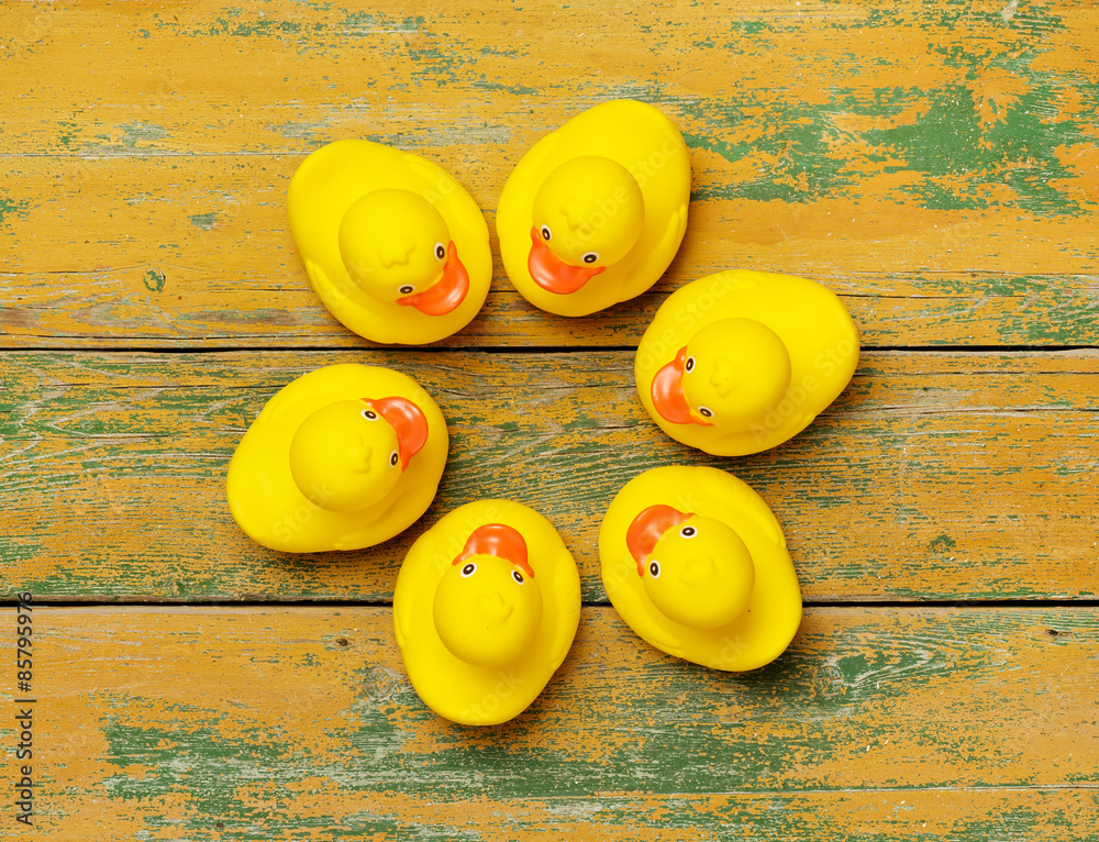 Rubber ducks Stock Photo | Adobe Stock
