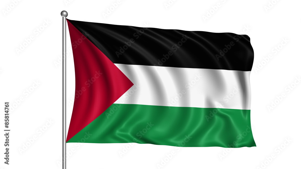 Palestine flag with fabric structure (loop, with alpha channel) Stock ...
