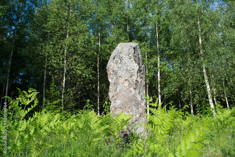 Stone monument from the Iron Age. An Iron Age burial or ritual place ...