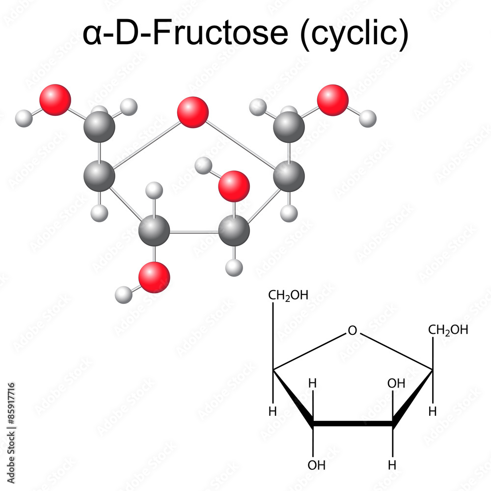 Structural chemical formula and model of fructose Stock Vector | Adobe ...