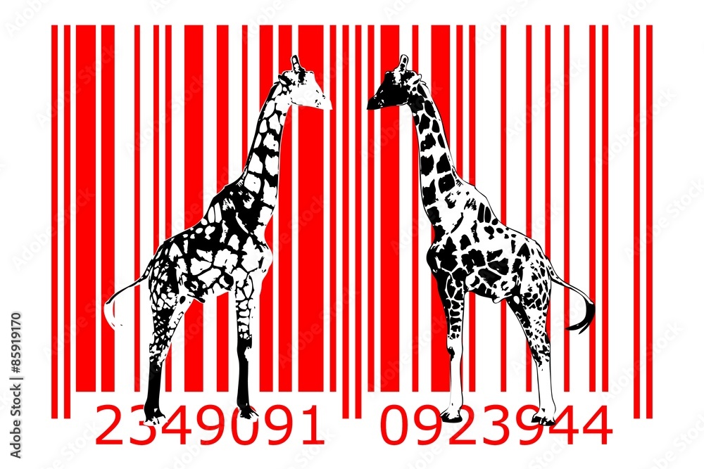 Animal Barcodes