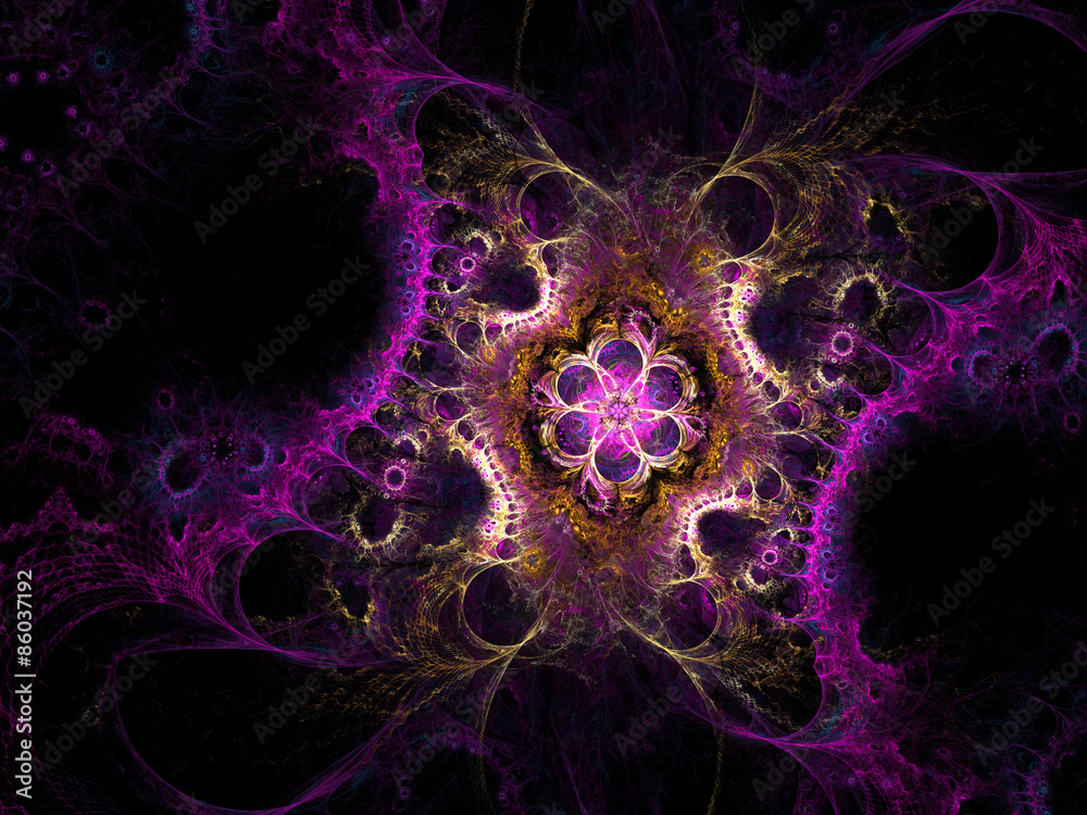 Pudendum femininum Stock Illustration | Adobe Stock