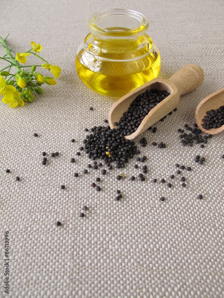 Rapsöl und Rapssamen Stock-Foto | Adobe Stock