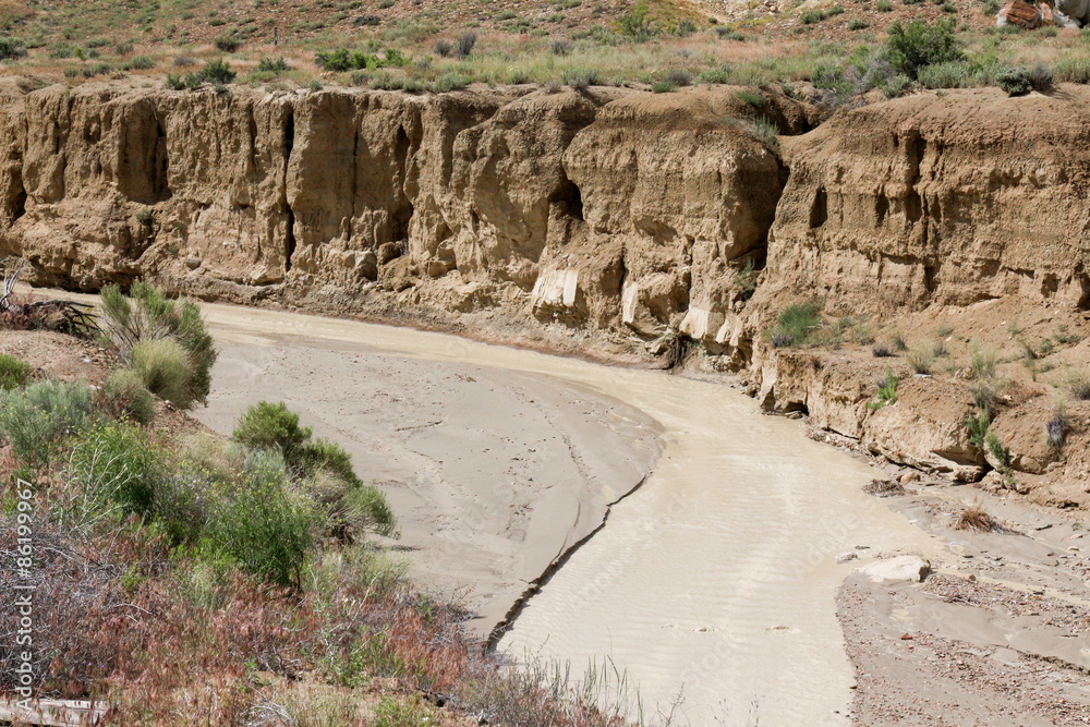 Desert Arroyo