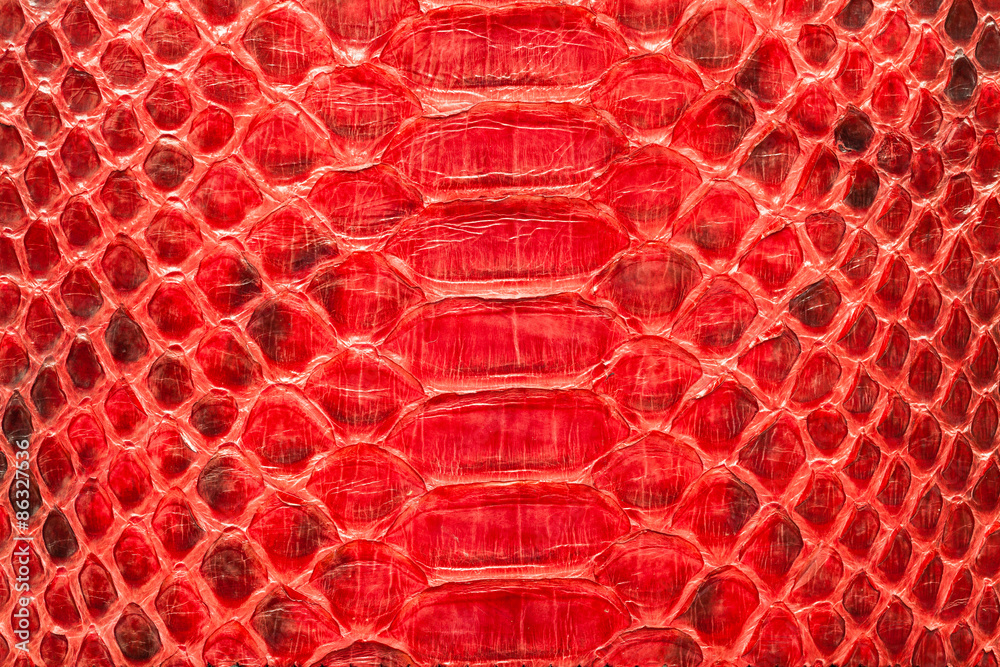 Red python leather, skin texture for background. Stock Photo | Adobe Stock