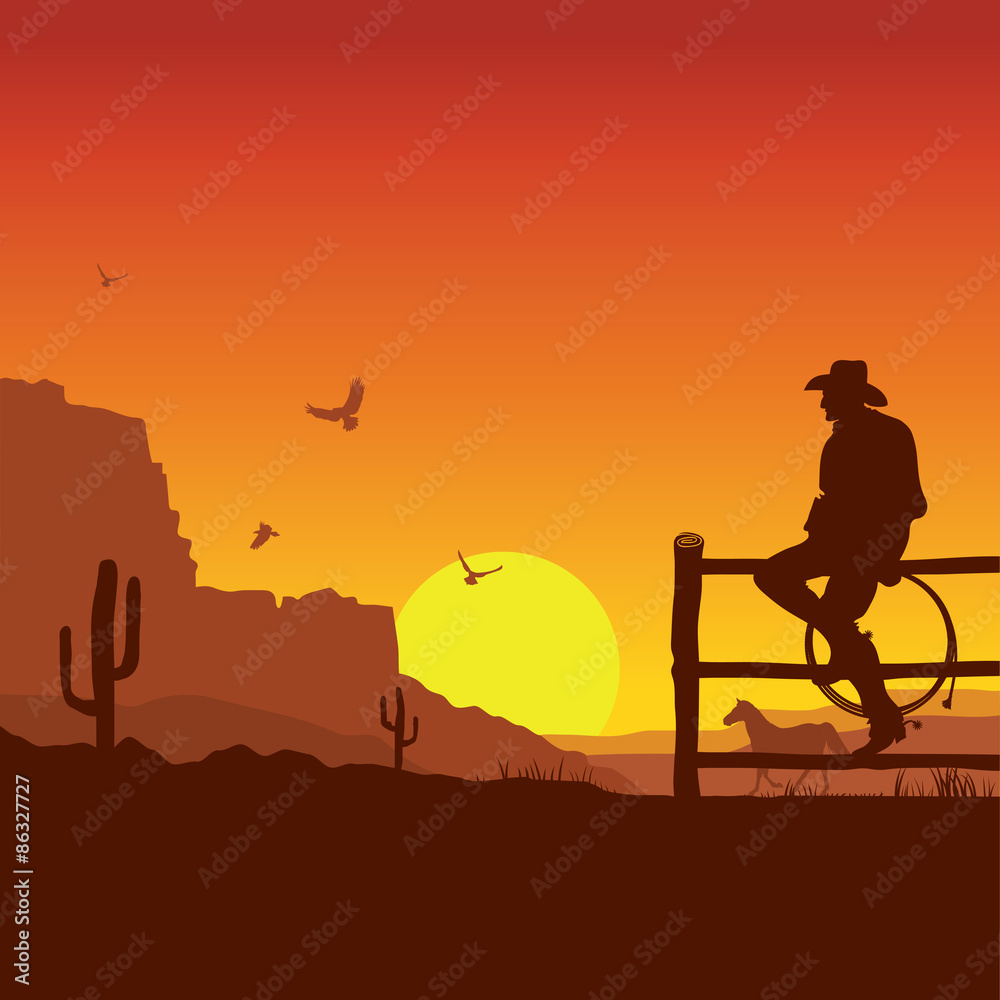 Wild West Landscape Sunset Arizona Desert Wild West Landscape Stock