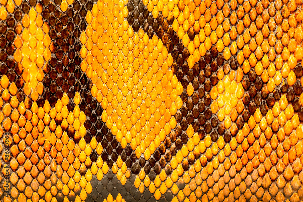 Yellow python leather, skin texture for background. Stock Photo | Adobe ...